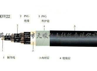 KVVRP22控制电缆丨铠装型_控制电缆_天长市天顺仪表线缆有限公司