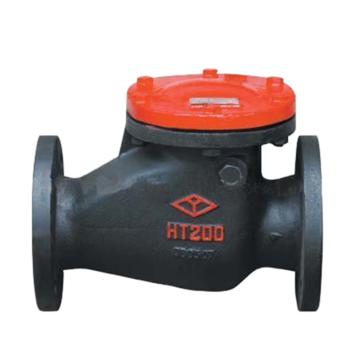 远大阀门 铸铁旋启式止回阀 H44T-10，DN500 - 工业品采购平台